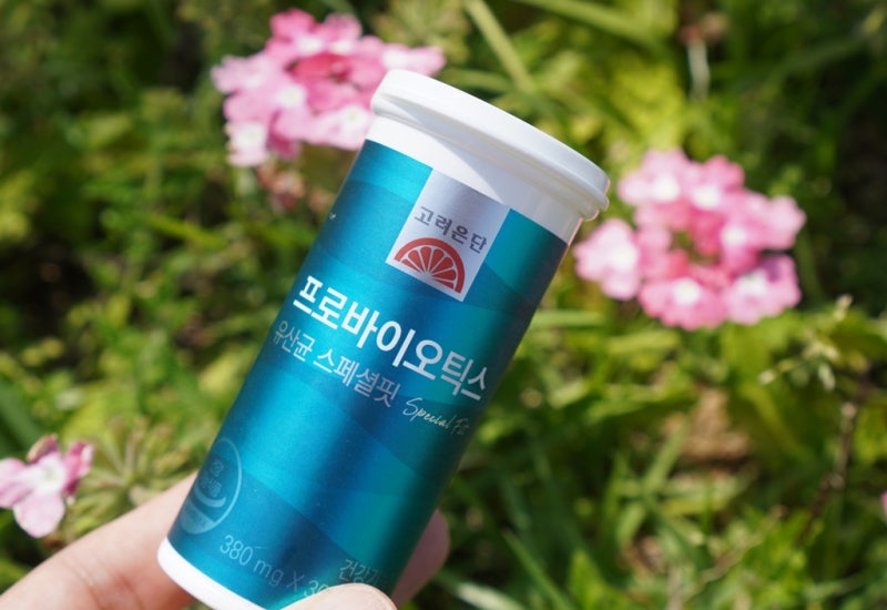 고려은단 프로바이오틱스 유산균 스페셜핏 100억 유산균 네이버 블로그