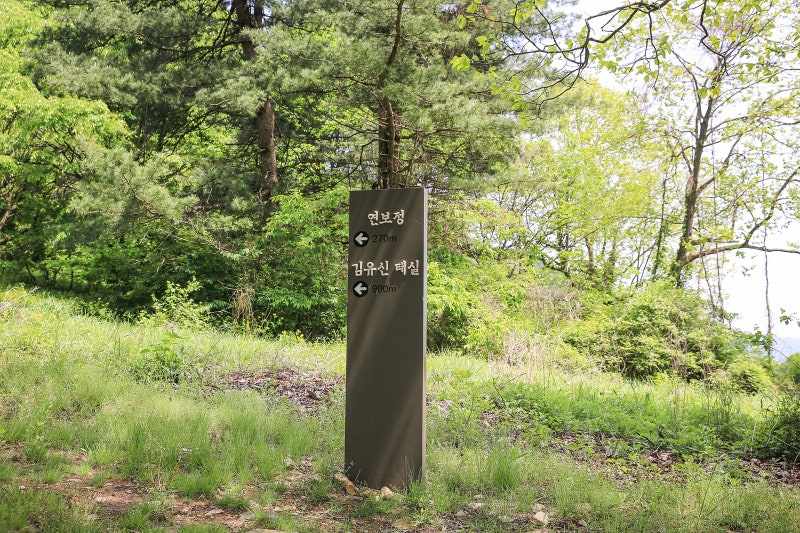 진천 화랑무예태권도성지와 김유신장군 탄생지 네이버 블로그