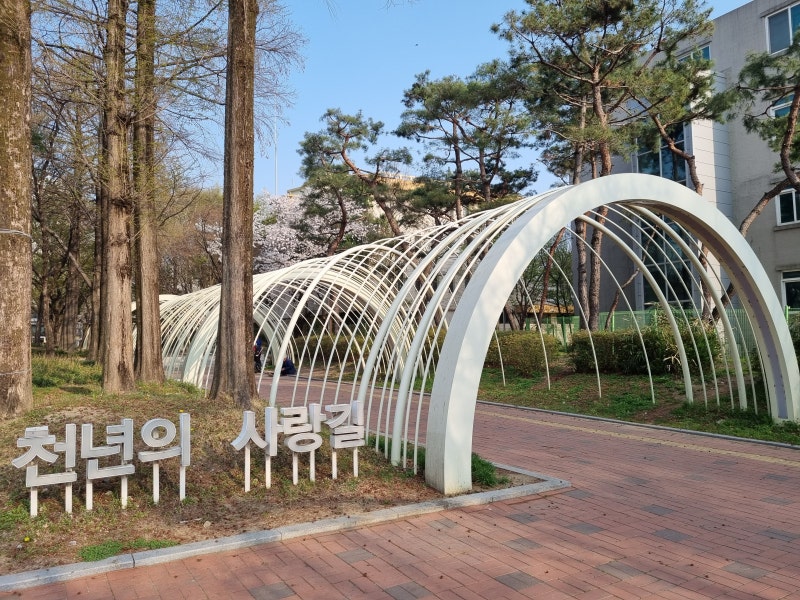 청주 여행 번화가 성안길 놀거리 볼거리 시내 맛집 쫄쫄호떡 드라마 더글로리 촬영지 청주중앙공원 나들이 청주육거리시장 네이버 블로그