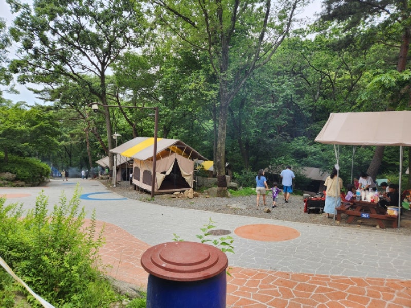 서울대공원 캠핑장 두번째 방문 후기 예약부터 명당 준비물까지 2구역 216호 네이버 블로그