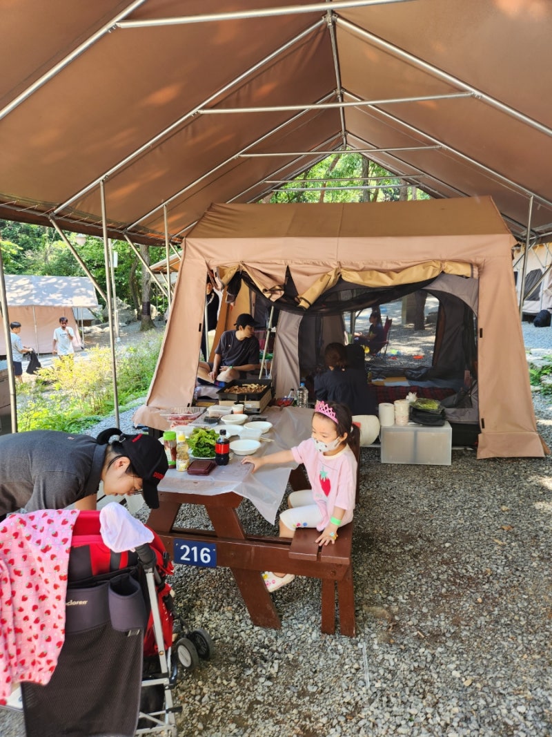 서울대공원 캠핑장 두번째 방문 후기 예약부터 명당 준비물까지 2구역 216호 네이버 블로그