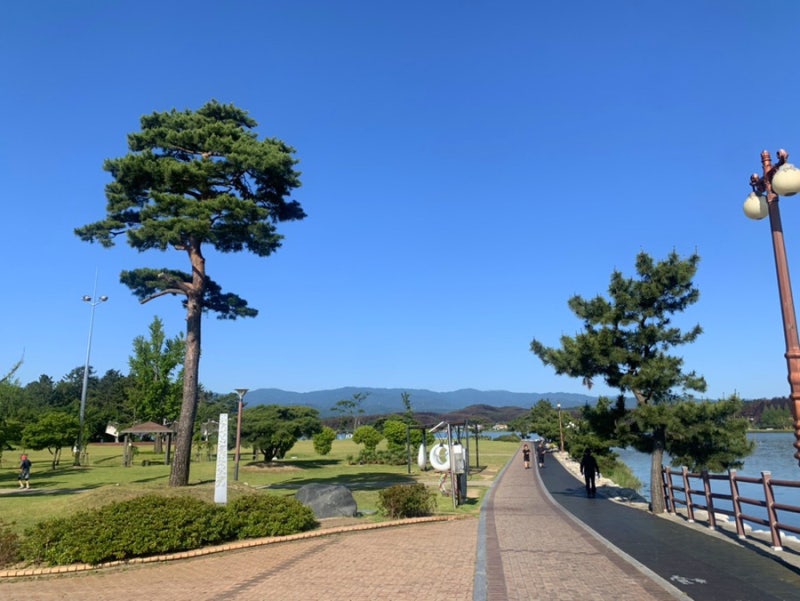 강릉 경포대 가볼만한곳 경포호 둘레길 산책 경포호수광장 여행코스 네이버 블로그