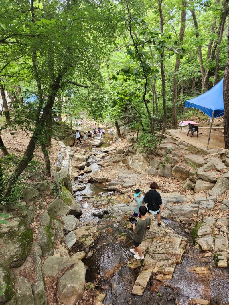 서울대공원 캠핑장 두번째 방문 후기 예약부터 명당 준비물까지 2구역 216호 네이버 블로그