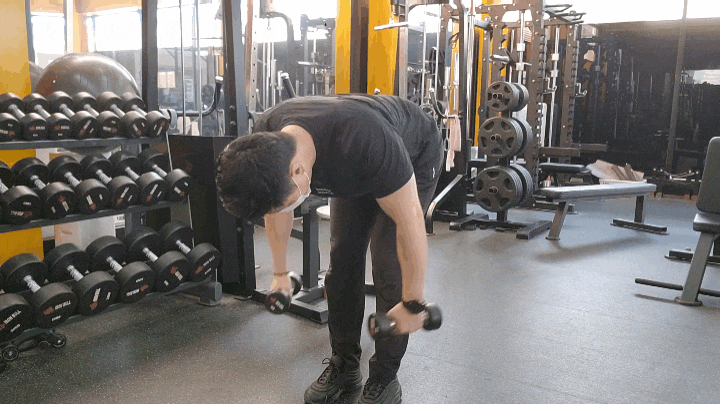 전면 삼각근 어깨 후면 운동덤벨 숄더프레스 벤트오버 레터럴 레이즈 네이버 블로그