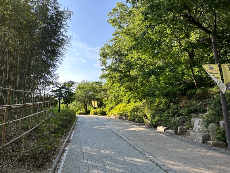 북서울꿈의숲 물놀이 주차 돗자리 피크닉 즐기기 네이버 블로그
