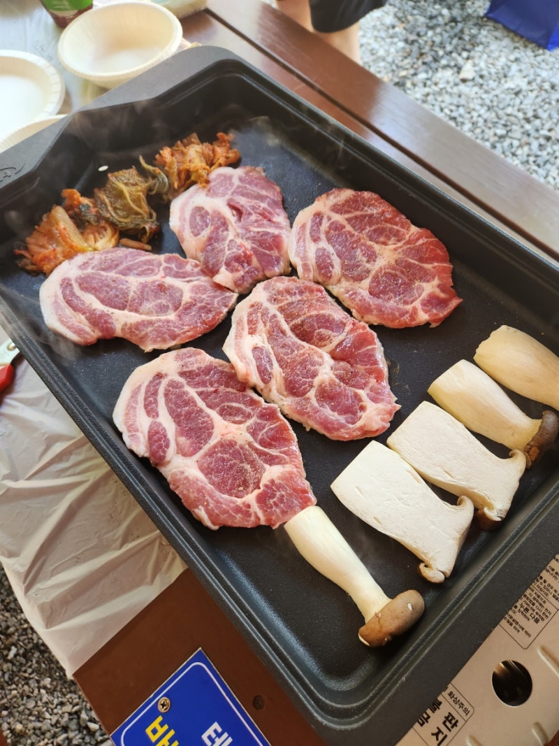 서울대공원 캠핑장 두번째 방문 후기 예약부터 명당 준비물까지 2구역 216호 네이버 블로그