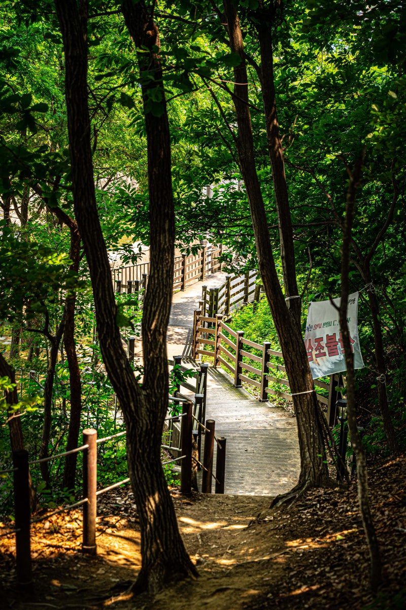 용인 용담저수지 호수 둘레길 1시간 산책 데이트 코스 카페 주차 네이버 블로그