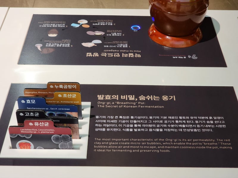 서울 근교 주말 아이와 가볼만한곳 국립과천과학관 유아체험관 예약 입장료 주차 팁 식당 푸드코트 도시락 네이버 블로그