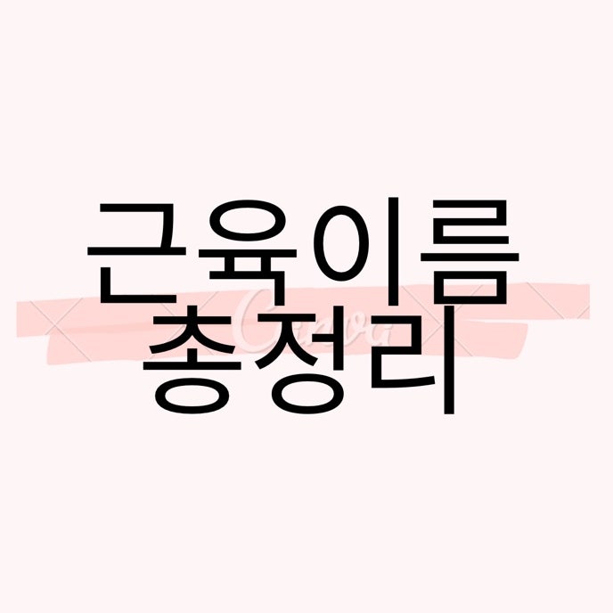 근육 이름 구용어 신용어 영어 총정리 네이버 블로그