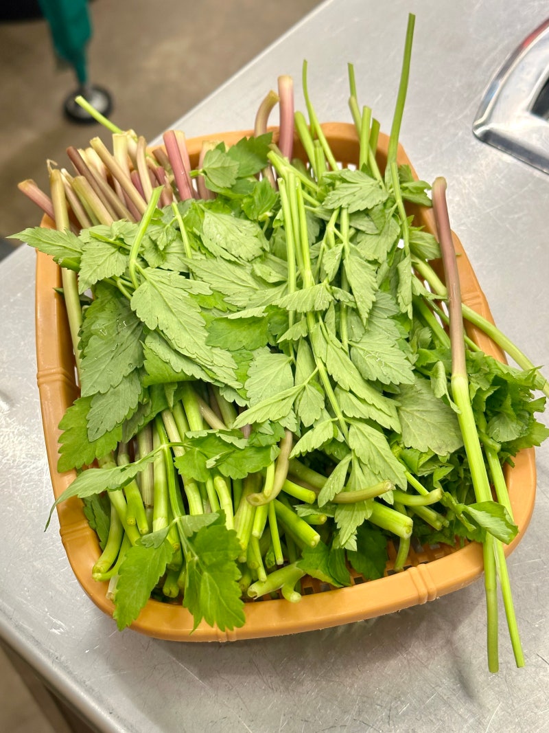 맛집 일기 수원 성균관대역 맛집 율전동 고기집 미나리 삼겹살 ‘목구멍 율전점 네이버 블로그