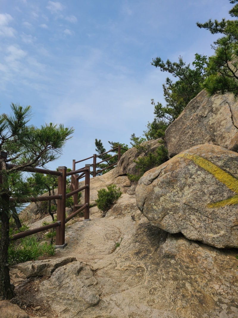 태안 백화산 등산 코스주차장~백화산~백화산 구름다리~제1전망대~원점 네이버 블로그