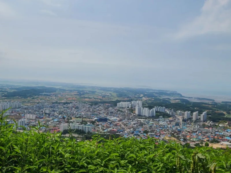 태안 백화산 등산 코스주차장~백화산~백화산 구름다리~제1전망대~원점 네이버 블로그
