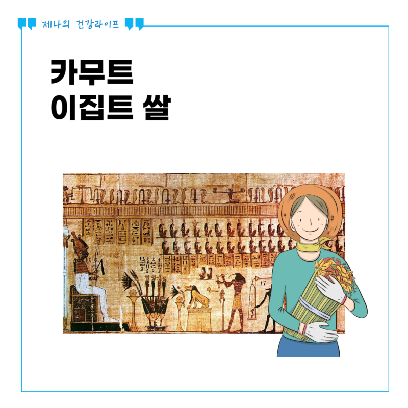 카무트 쌀 카무트 효소 효능 가격 부작용이집트쌀 먹는법 네이버 블로그