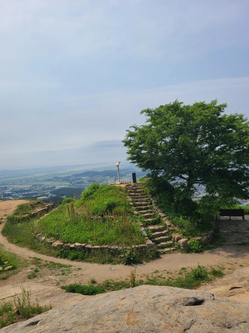 태안 백화산 등산 코스주차장~백화산~백화산 구름다리~제1전망대~원점 네이버 블로그