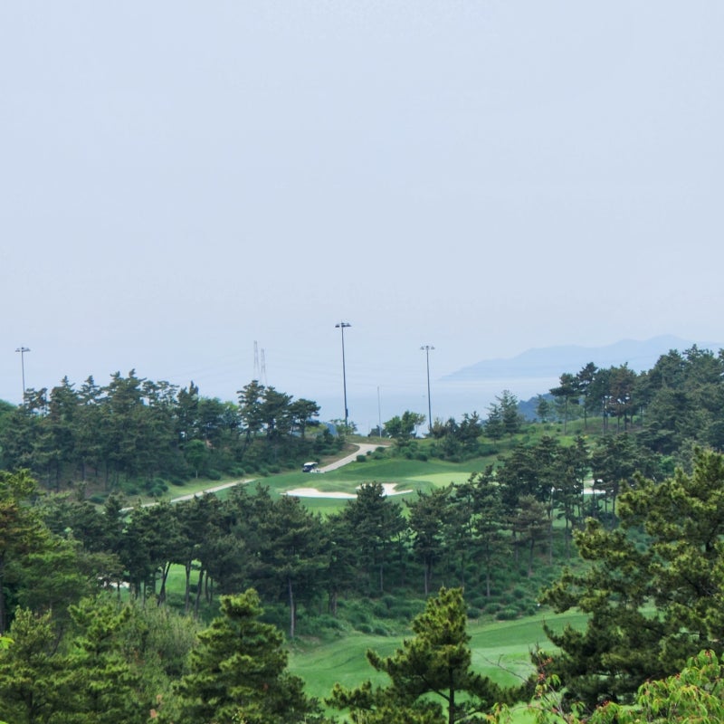 대부도 아일랜드cc 그린피 코스 안산 골프장 네이버 블로그