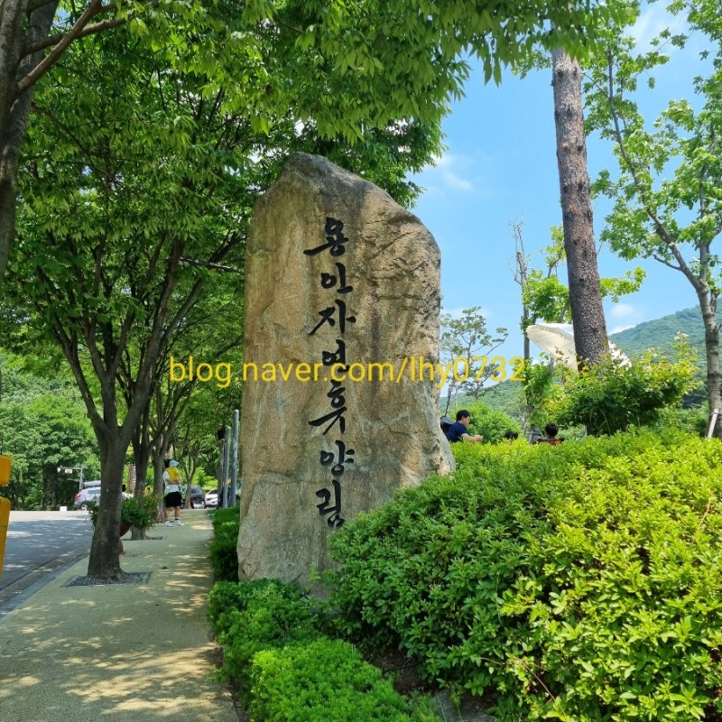 용인자연휴양림 당일치기 아이와 함께 소풍 네이버 블로그