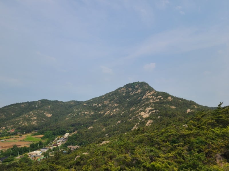 태안 백화산 등산 코스주차장~백화산~백화산 구름다리~제1전망대~원점 네이버 블로그