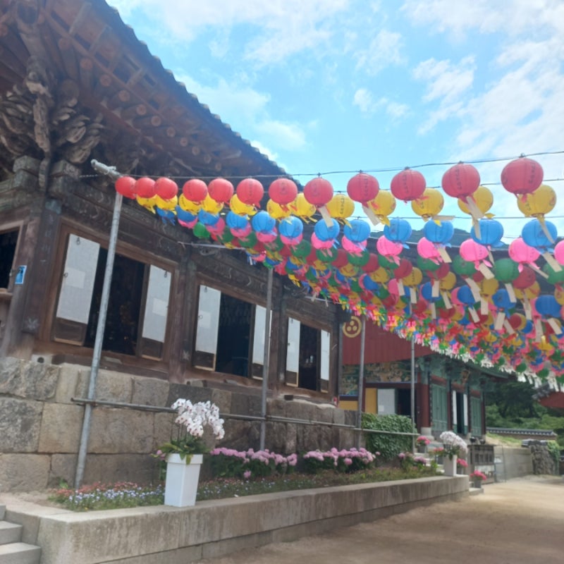 [힐링여행] 파주 보광사 (마음에 평안을 얻다) : 네이버 블로그