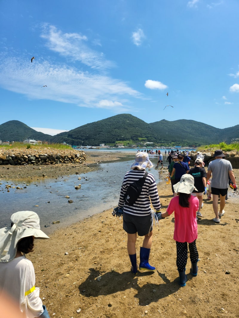 거제 다대갯벌체험 마을 거제 아이와 가볼만한곳 네이버 블로그