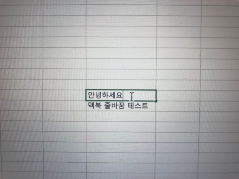 맥북 엑셀 줄바꿈 , 단축키 까지 정리 끝. : 네이버 블로그