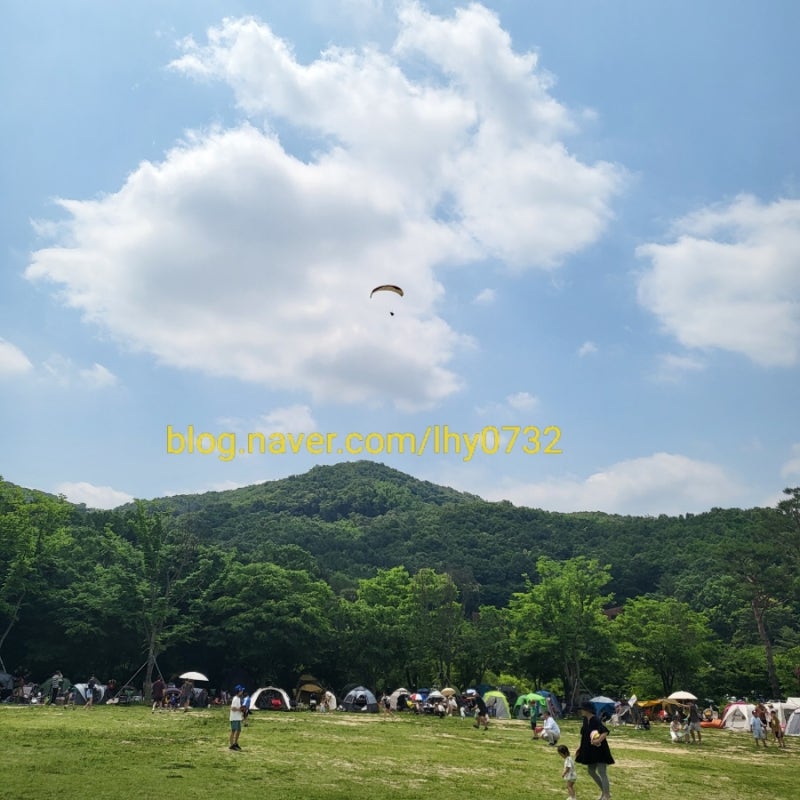 용인자연휴양림 당일치기 아이와 함께 소풍 네이버 블로그