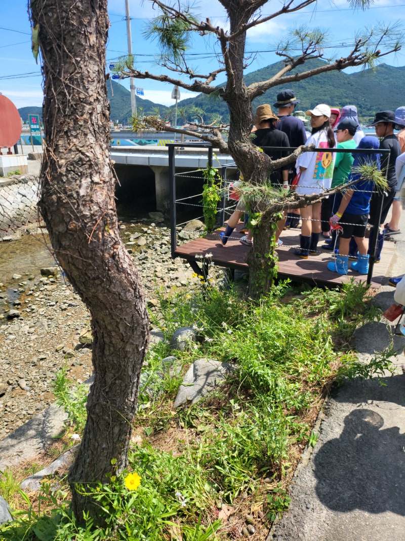 거제 다대갯벌체험 마을 거제 아이와 가볼만한곳 네이버 블로그