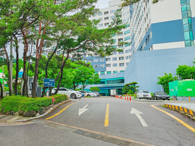 국내 리조트 추천 금호리조트 화순 스파 아쿠아나 여름 여행 휴가지 네이버 블로그