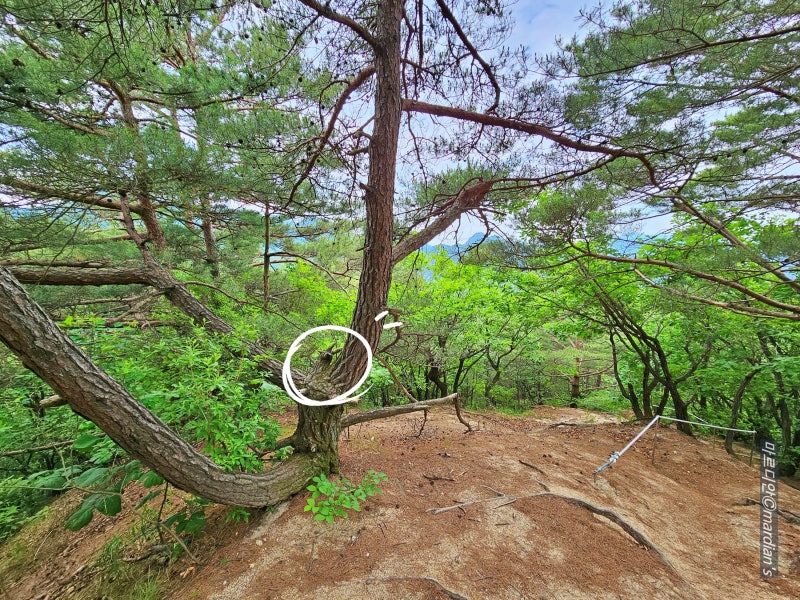100대명산 경기 포천 백운산 등산코스 최단코스 정보 광덕고개 백운산 정상bac한북정맥 인증 백운계곡 흥룡사 주차장