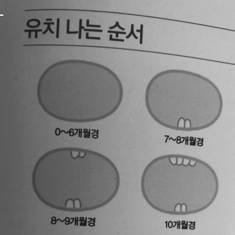 아기 이나는 순서 치아 나는 시기 이앓이 증상 Qna 네이버 블로그