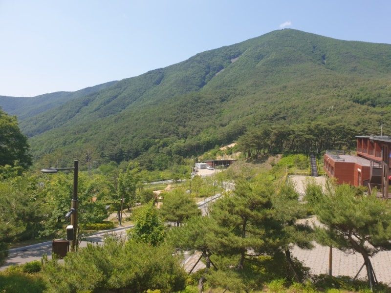 영천 보현산 자연휴양림영천 목재문화체험관아이들과 갈만한곳 네이버 블로그