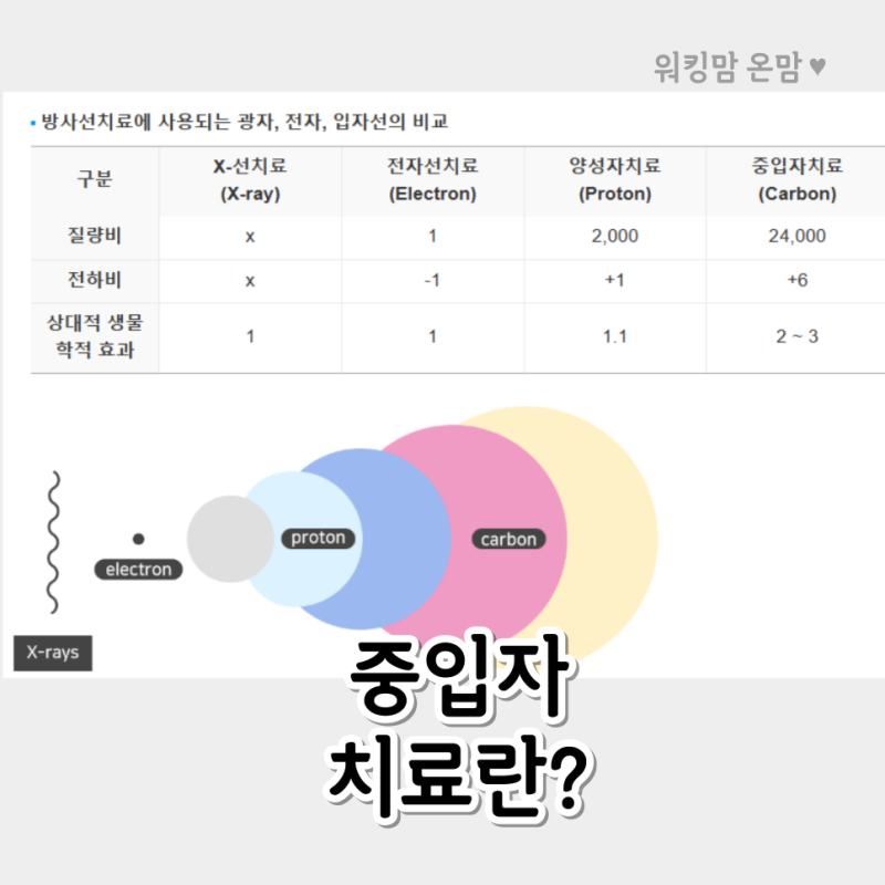 일본 중입자치료 비용 가격 세브란스 중입자 치료기 치료센터 암 양성자 치료비용 알아보기 네이버 블로그