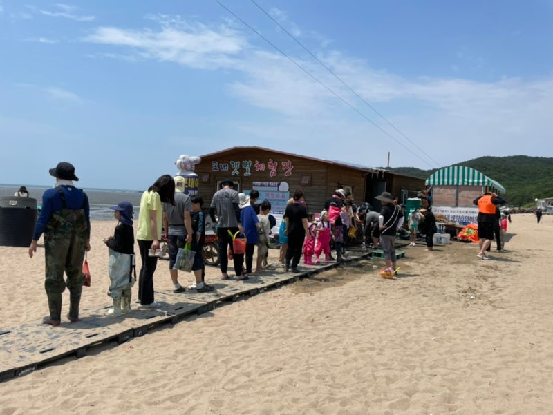 하나개해수욕장 해루질인천 무료 갯벌체험부터 물때까지 총정리 네이버 블로그