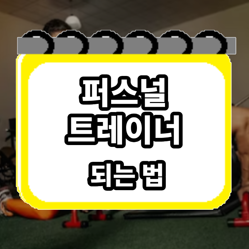 퍼스널 트레이너 하는 일 되는 법 연봉 장단점 알려드릴게요 네이버 블로그
