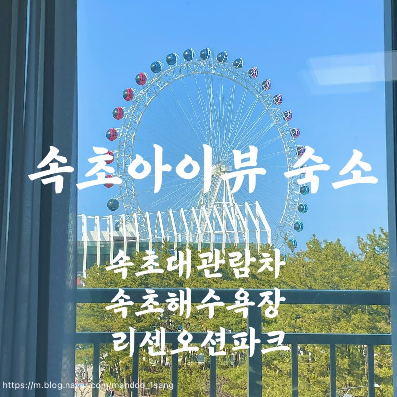 속초해수욕장 숙소 속초대관람차뷰 속초아이뷰 오션뷰 내돈내산 리센오션파크 네이버 블로그