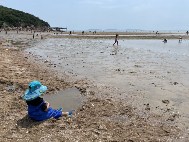 하나개해수욕장 해루질인천 무료 갯벌체험부터 물때까지 총정리 네이버 블로그