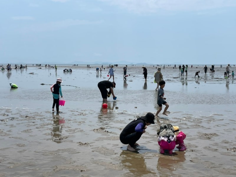 하나개해수욕장 해루질인천 무료 갯벌체험부터 물때까지 총정리 네이버 블로그