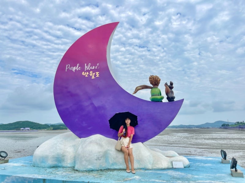 전남 신안 퍼플섬 보라색 세상 보라섬 목포 근교 여행 네이버 블로그