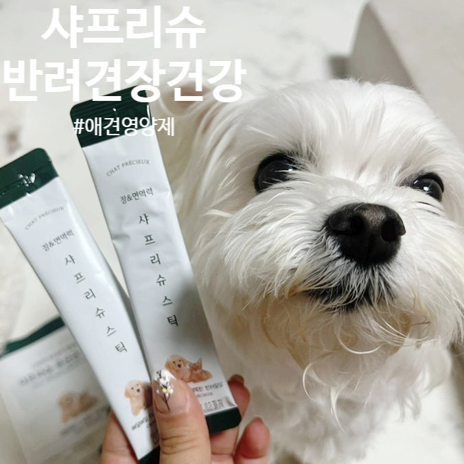 애견간식 반려견 영양제 샤프리슈 장건강면역력강화유산균 급여후기 네이버 블로그