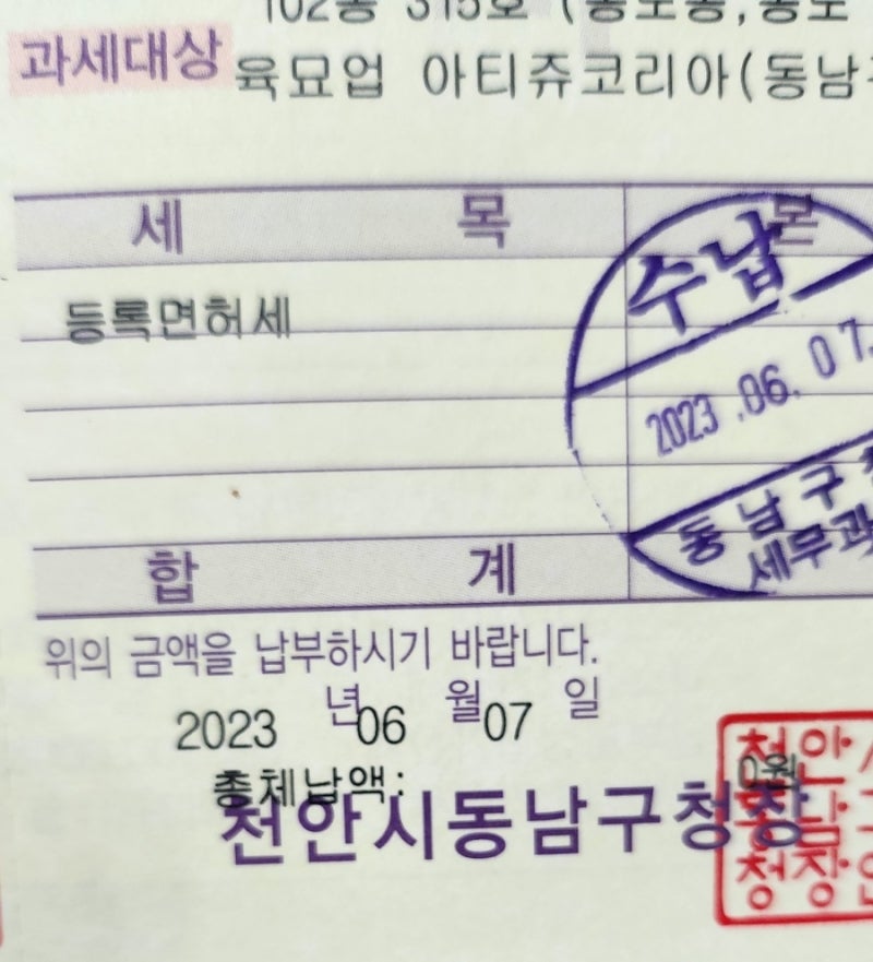 아티쥬 육묘업 식물 1탄 오퍼큐리카야 파키푸스 네이버 블로그