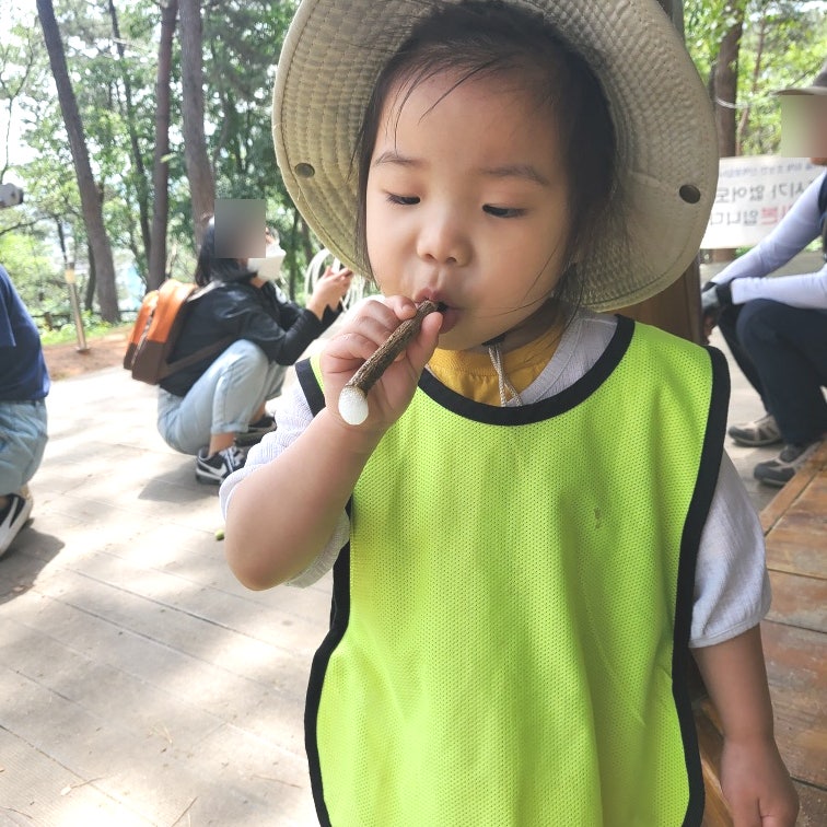 병설 단설 유치원 종류 국공립 사립 유치원 차이w체크리스트 네이버 블로그