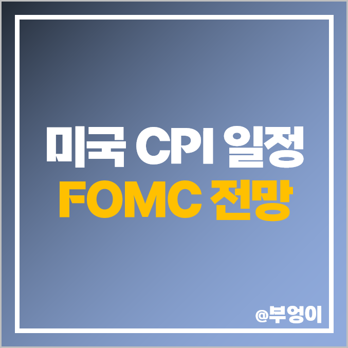 미국 CPI 발표 시간, 5월 CORE 근원 지수 뜻, 예상치 : 6월 FOMC 일정, 동결 전망 : 네이버 블로그