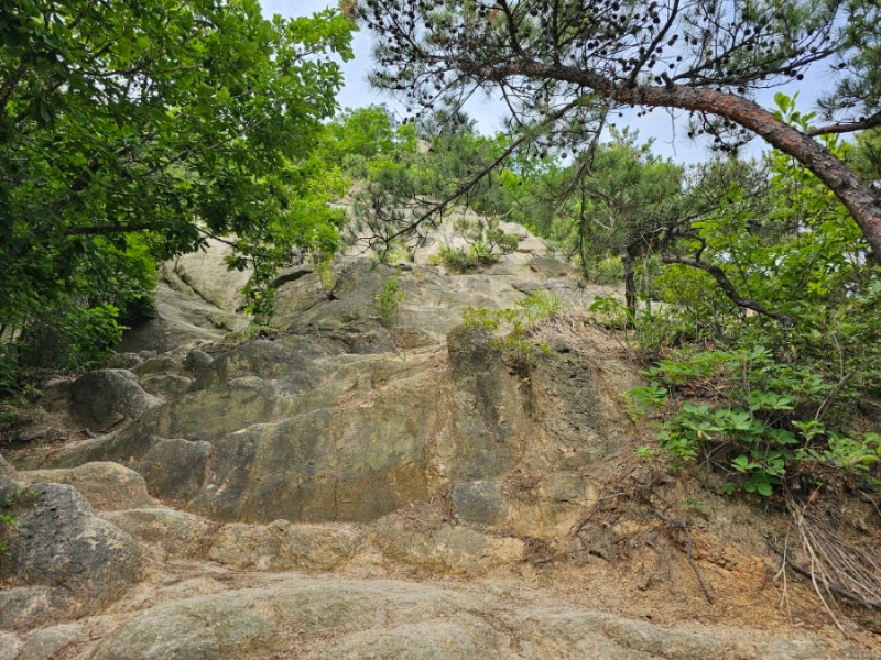 관악산 등산코스 초보 및 연주대 정상 서울 도심 풍경 사당역 관음사 코스 산행 이야기 주차장 네이버 블로그