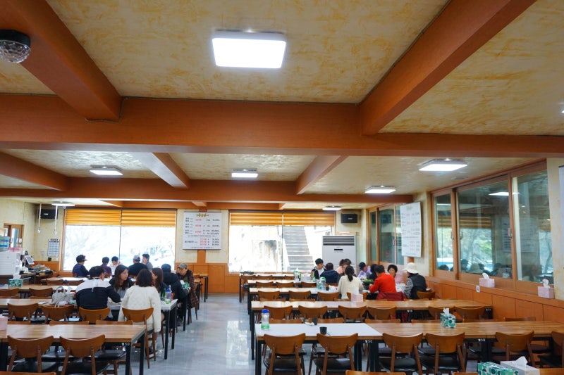 청풍호 모노레일 맛집 옥순봉출렁다리 주변 점심 맛본 청풍황금송어 추천해 네이버 블로그