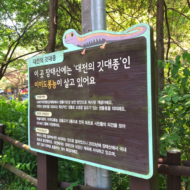 장태산 자연휴양림 숙소 주차장 휴양관 예약 대전 여름여행코스 네이버 블로그