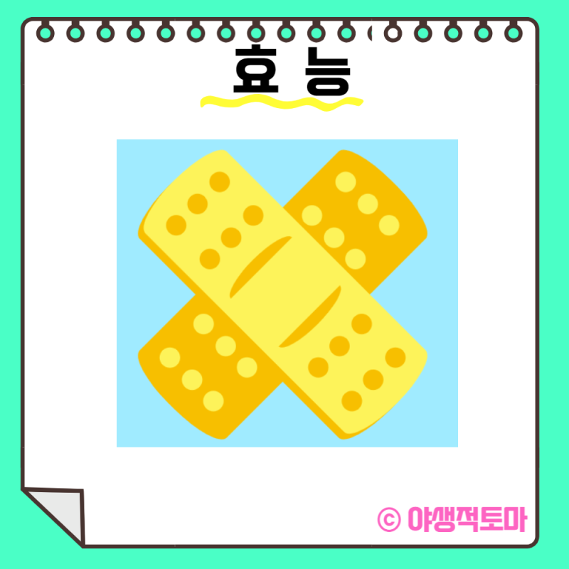 습윤밴드 마데카밴드 Vs 후시딘밴드 성분 작용기전 효능 부작용 네이버 블로그