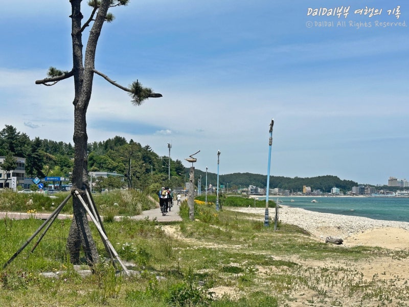 강원도 양양 정암해수욕장 몽돌해변 해파랑길 44코스 후진항까지 네이버 블로그