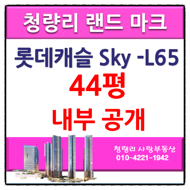 두둥 청량리역롯데캐슬스카이SKY-L65내부 최초공개 102타입 (feat:청량리사랑부동산) : 네이버 블로그