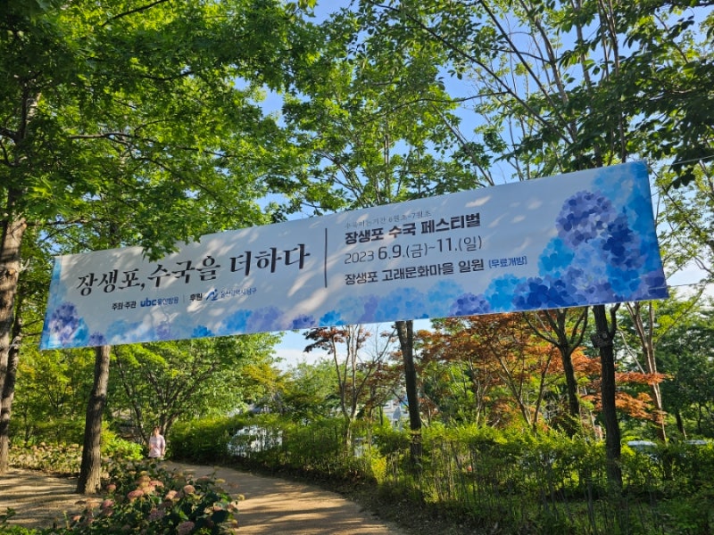 울산수국축제 장생포 수국 페스티벌 고래문화마을 무료개방 네이버 블로그