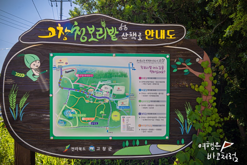 고창 보리나라 학원농장 청보리밭 드라마 도깨비 촬영지and주차장 네이버 블로그