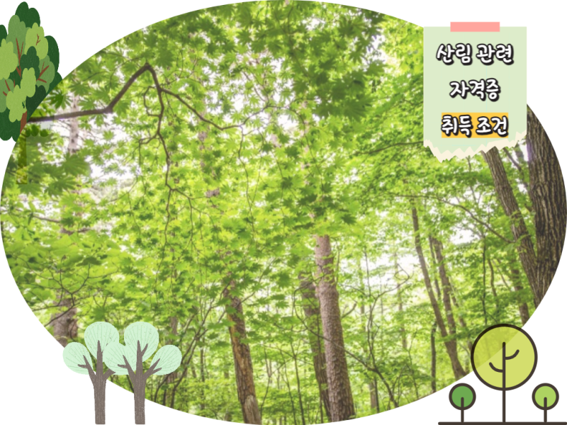 산림관련 자격증 취득조건 맞추는법 : 네이버 블로그